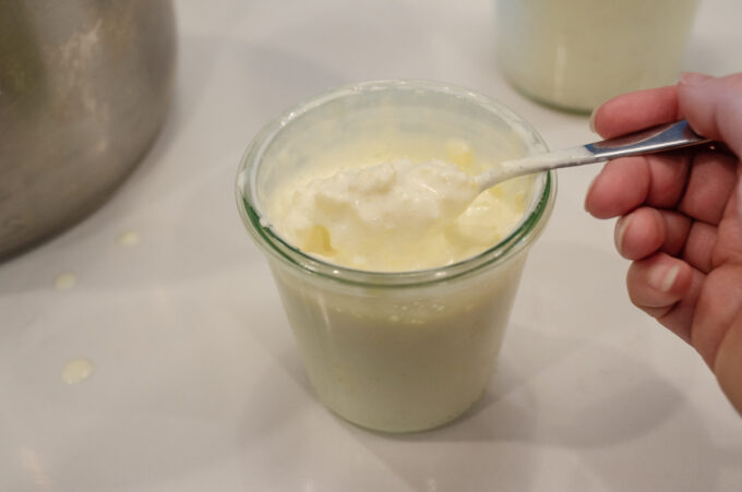 Instant Pot Clotted Cream Recipe (One Ingredient!)