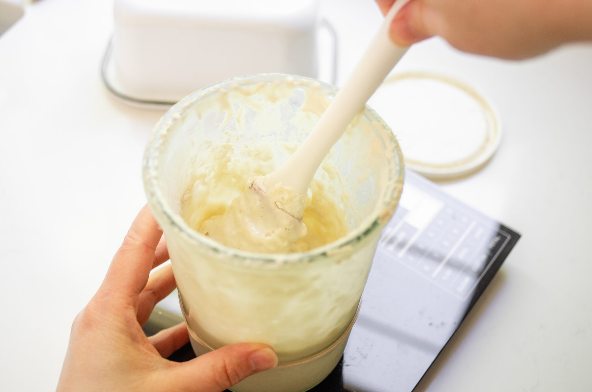 How to Feed and Maintain a Sourdough Starter Complete Guide